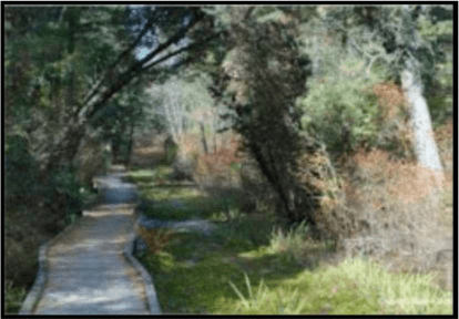 Club Field Trips | The Sussex County Bird Club